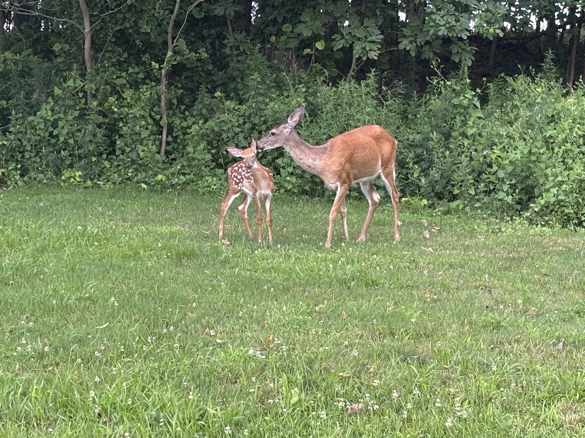 Wordless Wednesday — Bath Time | Pushing on a Rope